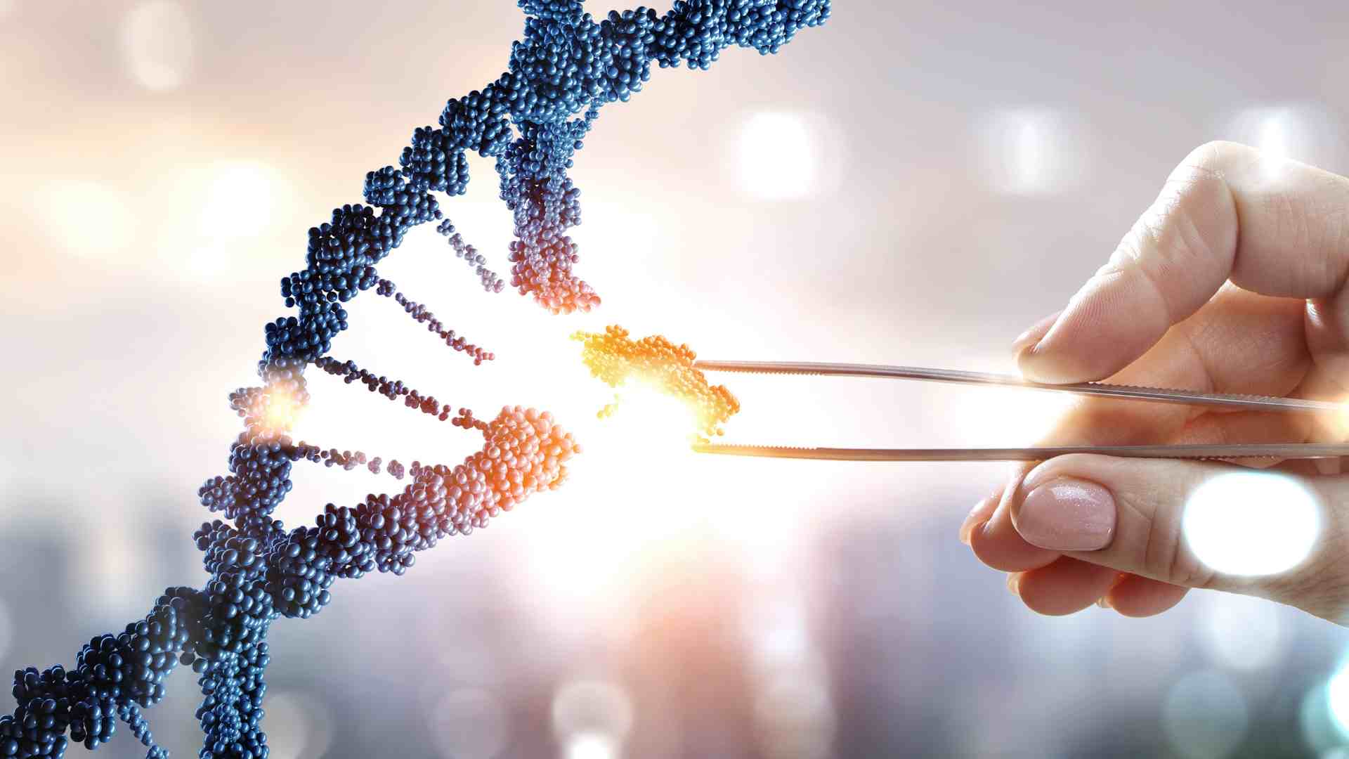 CRISPER Gene Editing - Hadassah Cancer Research Institute